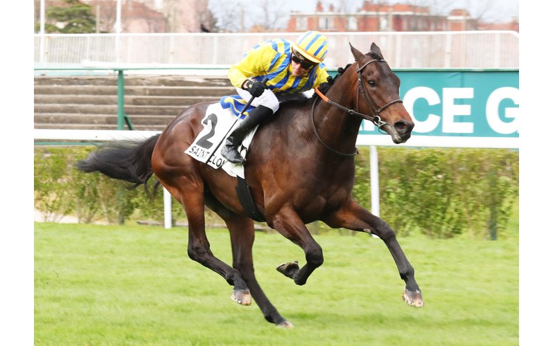 Prix Exbury (G3): Haya Zark galopou para a vitória | EQUISPORT