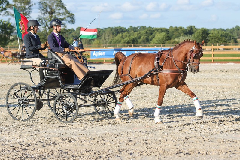 Results: FEI Driving European Championship for Youth 2024 | EQUISPORT